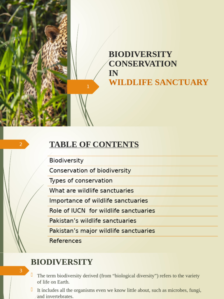Importance of Wildlife Sanctuaries | PDF | Conservation Biology ...