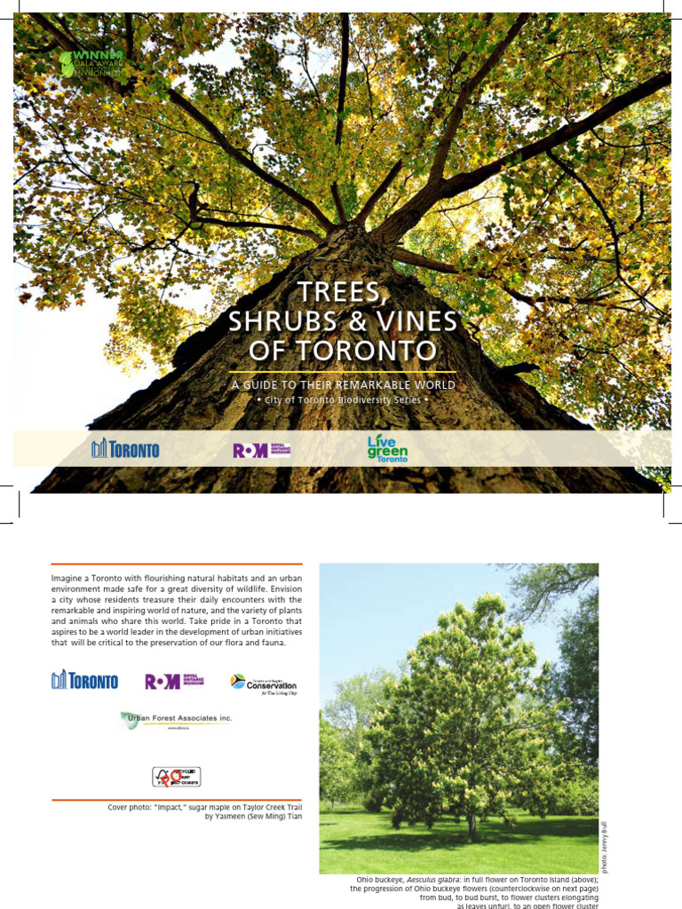 Toronto's Trees, Shrubs, and Vines Guide | PDF | Wood | Trees