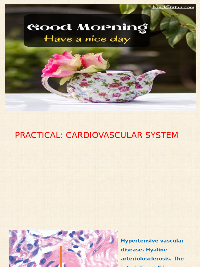 PRACTICAL Caediovascular. 2022-2023 | PDF | Atherosclerosis | Atheroma