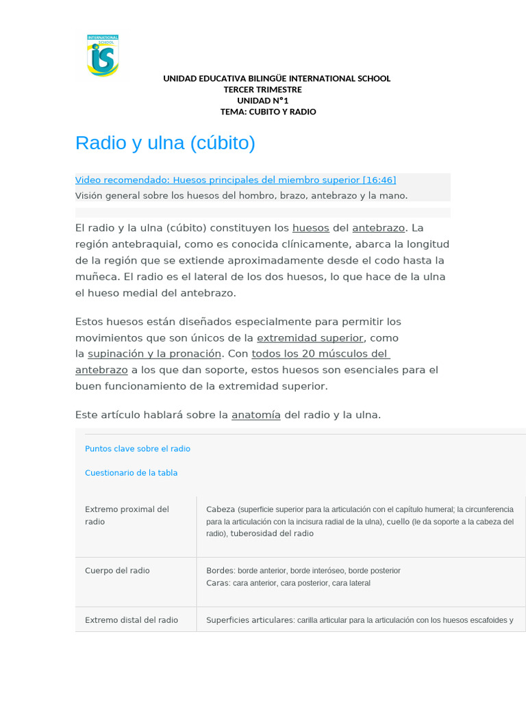 Cúbito y Radio 2 | PDF | Codo | Sistema musculoesquelético
