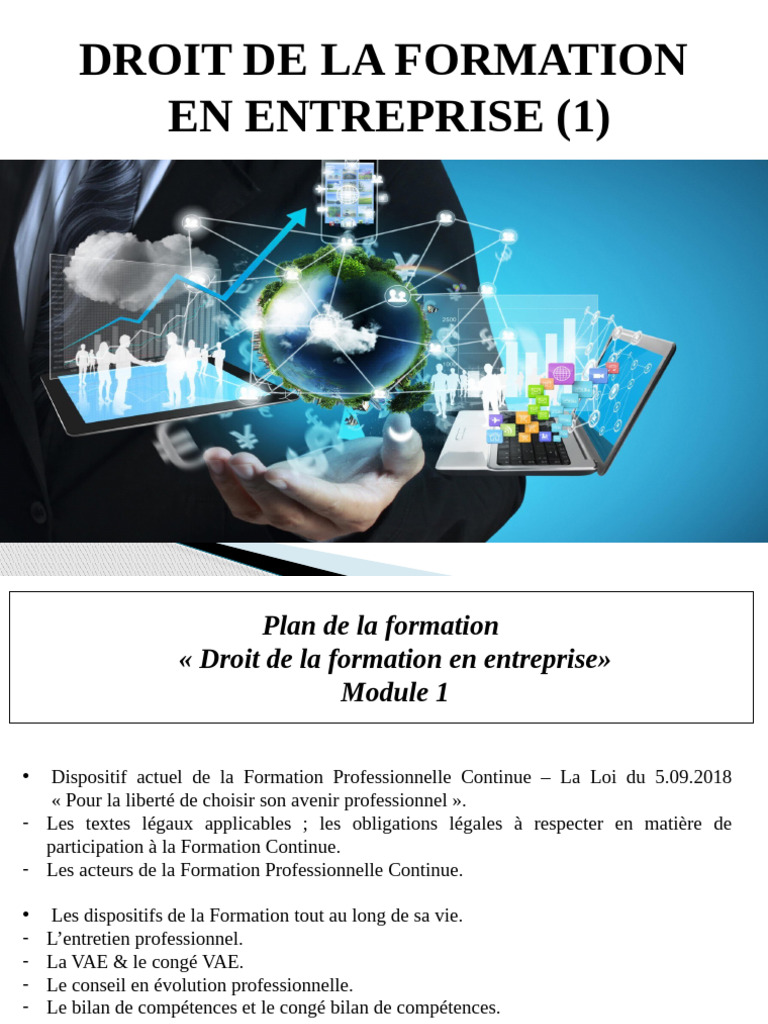Droit de la Formation Professionnelle | PDF | Gestion des ressources ...