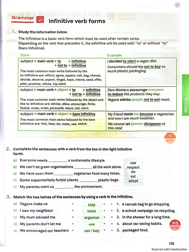Infinitive Verb Forms Worksheets | PDF