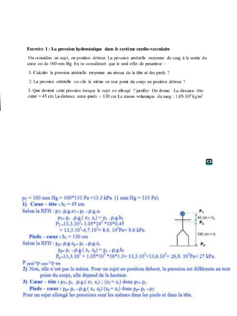 Corrigé TD 2 - Biophysique | PDF