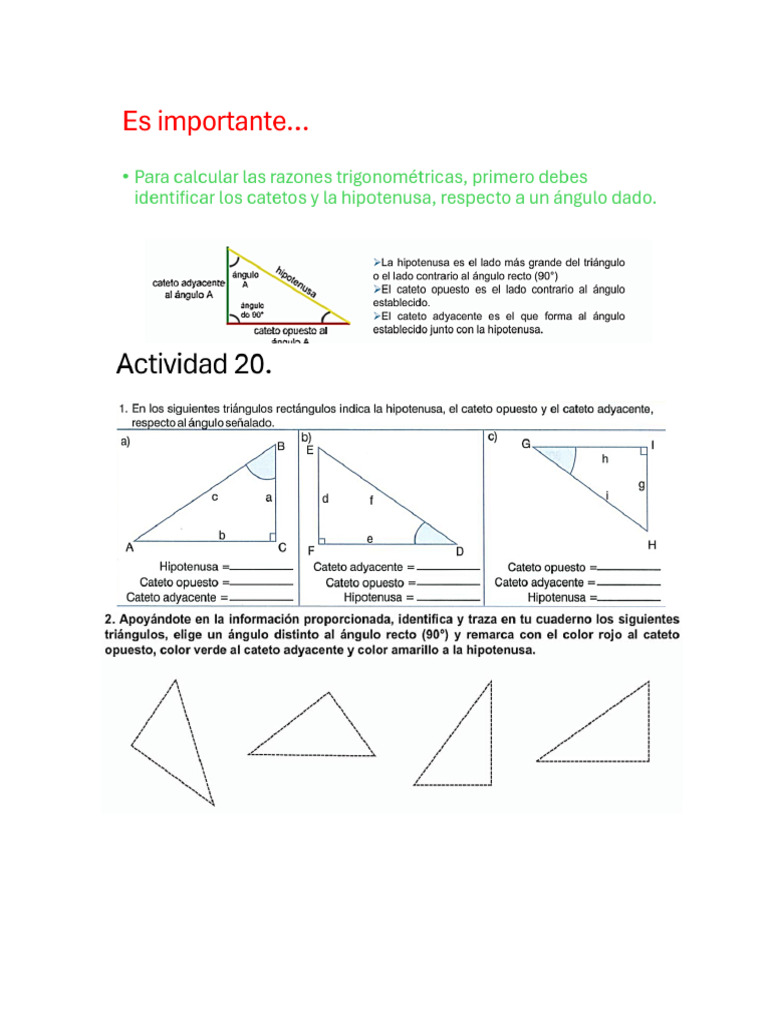 Activ 20. Identificar Catetos e Hipotenusa Respecto de Un - Ngulo | PDF