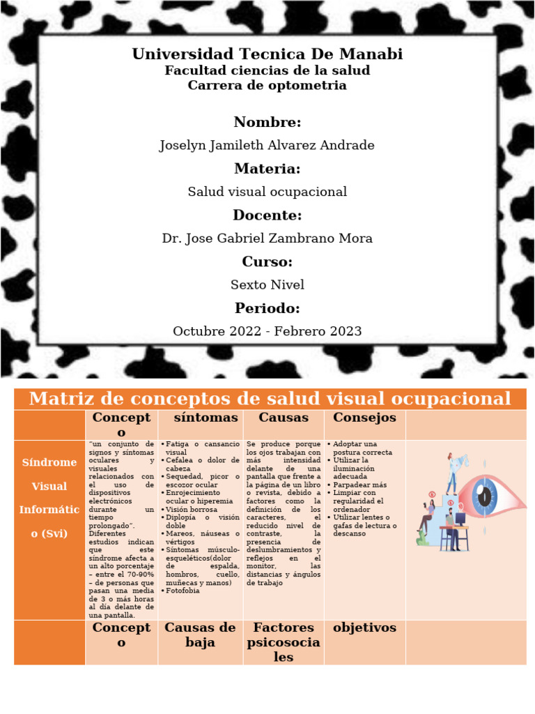 Matriz de conceptos de salud visual ocupacional | PDF | Seguridad y ...