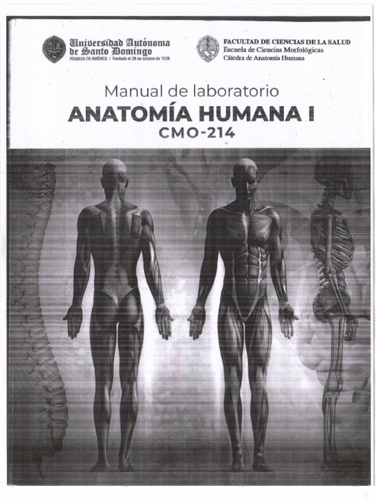 Manual de Laboratorio Anatomia Humana 1 Cmo-214 | PDF