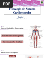 Anatomia das Vísceras Humanas | PDF | Corpo humano | Anatomia