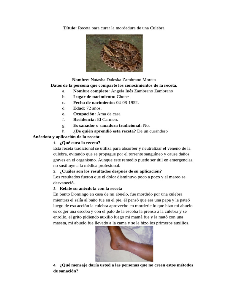 Receta para curar mordedura de culebra | PDF | café | Serpiente