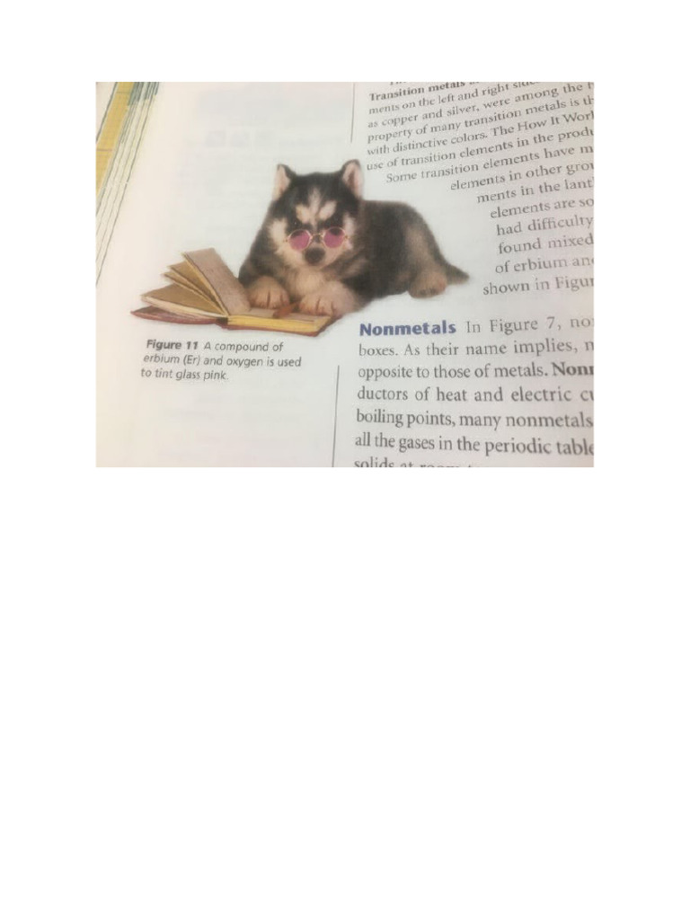 Perrro | PDF