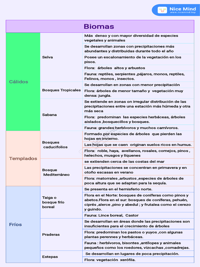 Biomas del Mundo: Flora y Fauna | PDF | Botánica