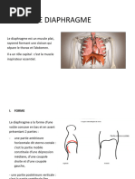 Anatomie et Développement du Diaphragme | PDF | Aorte | Thorax