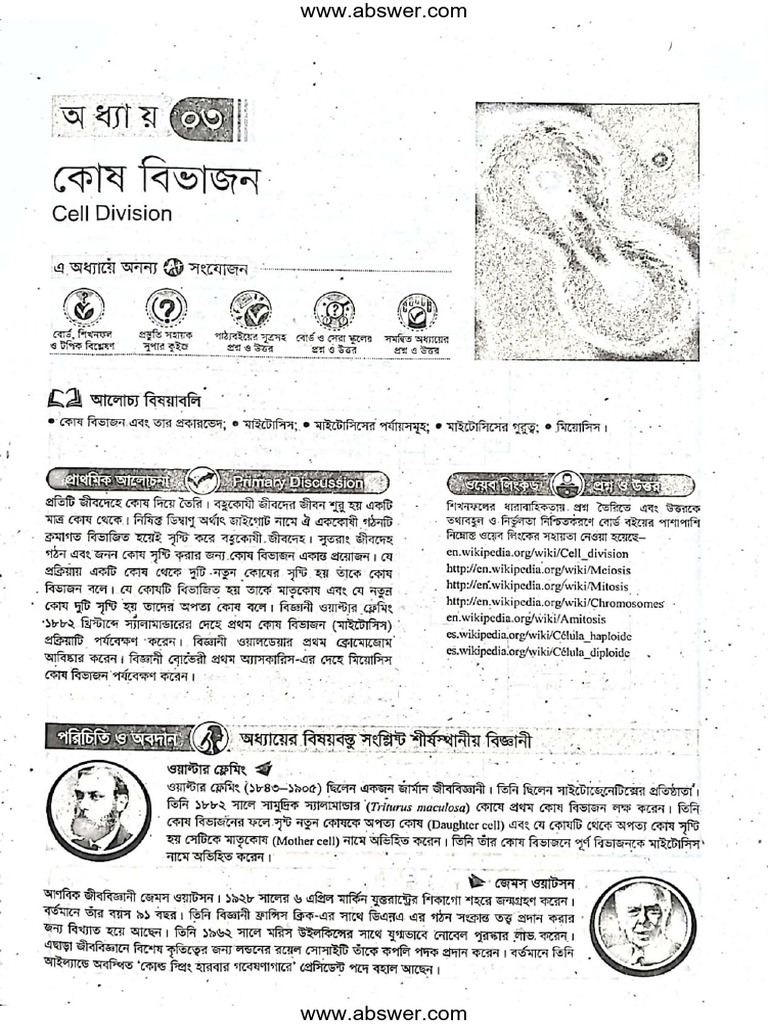 Chapter 3 - Class 9-10 Biology | PDF