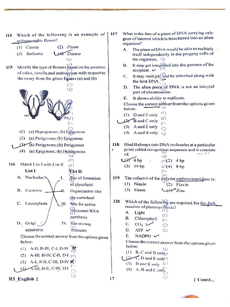 Neet 2024 Question Paper PDF Set 1 | PDF