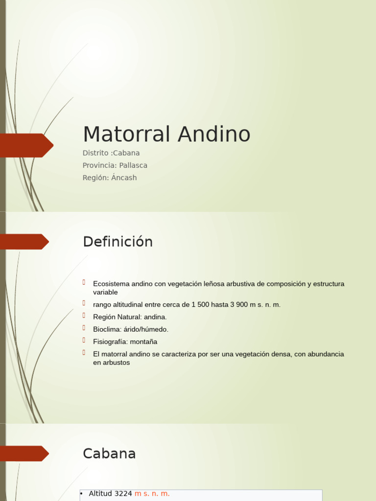 Matorral Andino | PDF