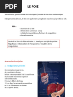 Anatomie du foie et des voies biliaires | PDF | Foie | Anatomie