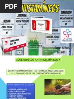 Bula Histaprin Inyectable | PDF | Especialidades Medicas | Medicina