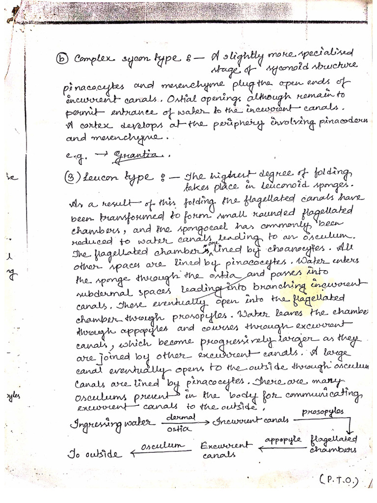 Partha Sarathi Nandi Cnidaria | PDF