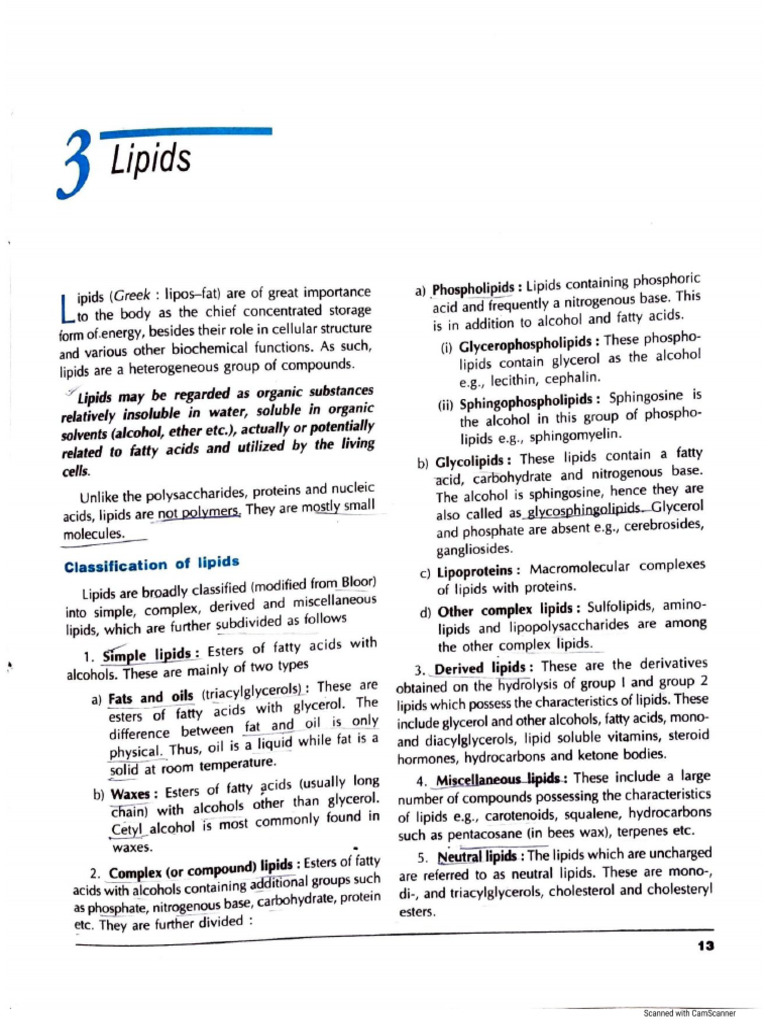 Lipids | PDF
