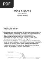 Anatomía Del Colédoco Pietrafita | PDF | Vesícula biliar ...