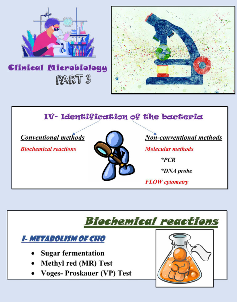 Practical 21 Microbiology | PDF
