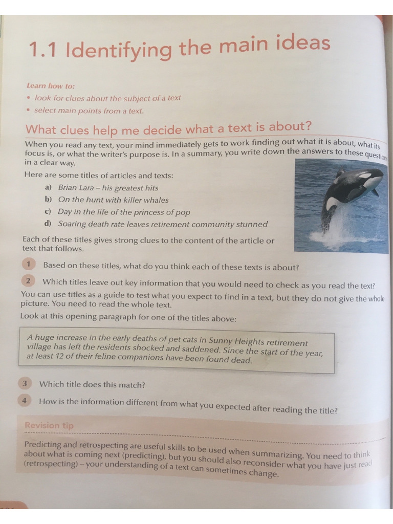 Identifying The Main Ideas PDF | PDF