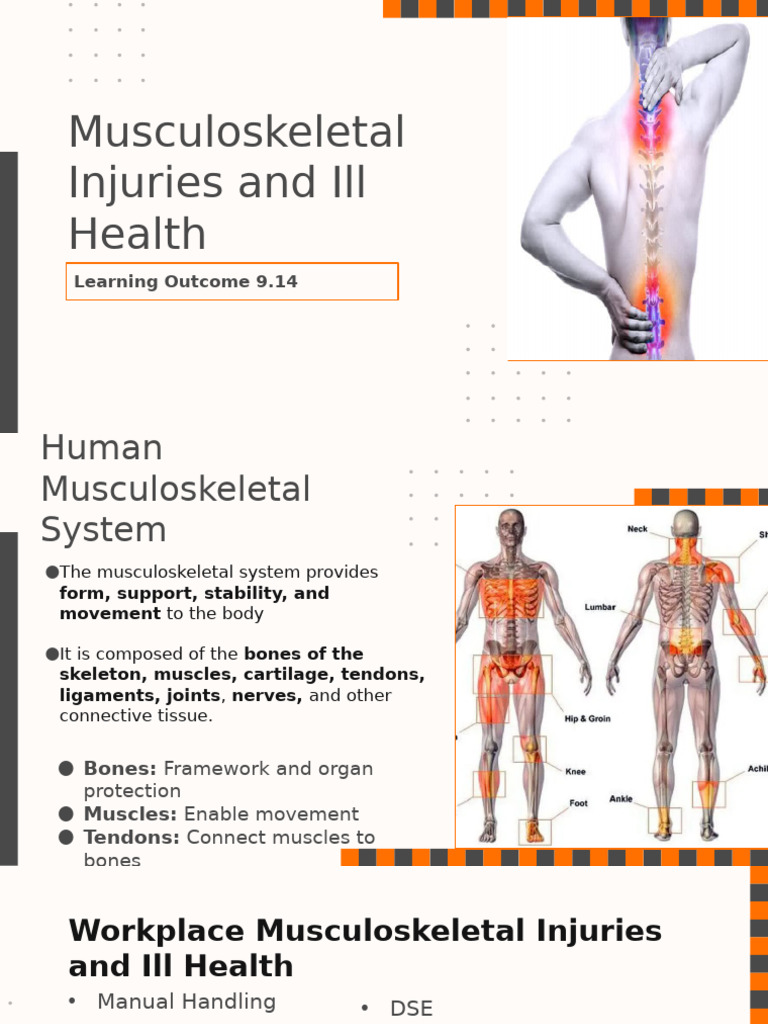 Workplace Musculoskeletal Injury Prevention | PDF | Human ...
