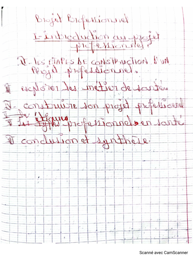 Cours Projet Professionnel Complet Nasser | PDF