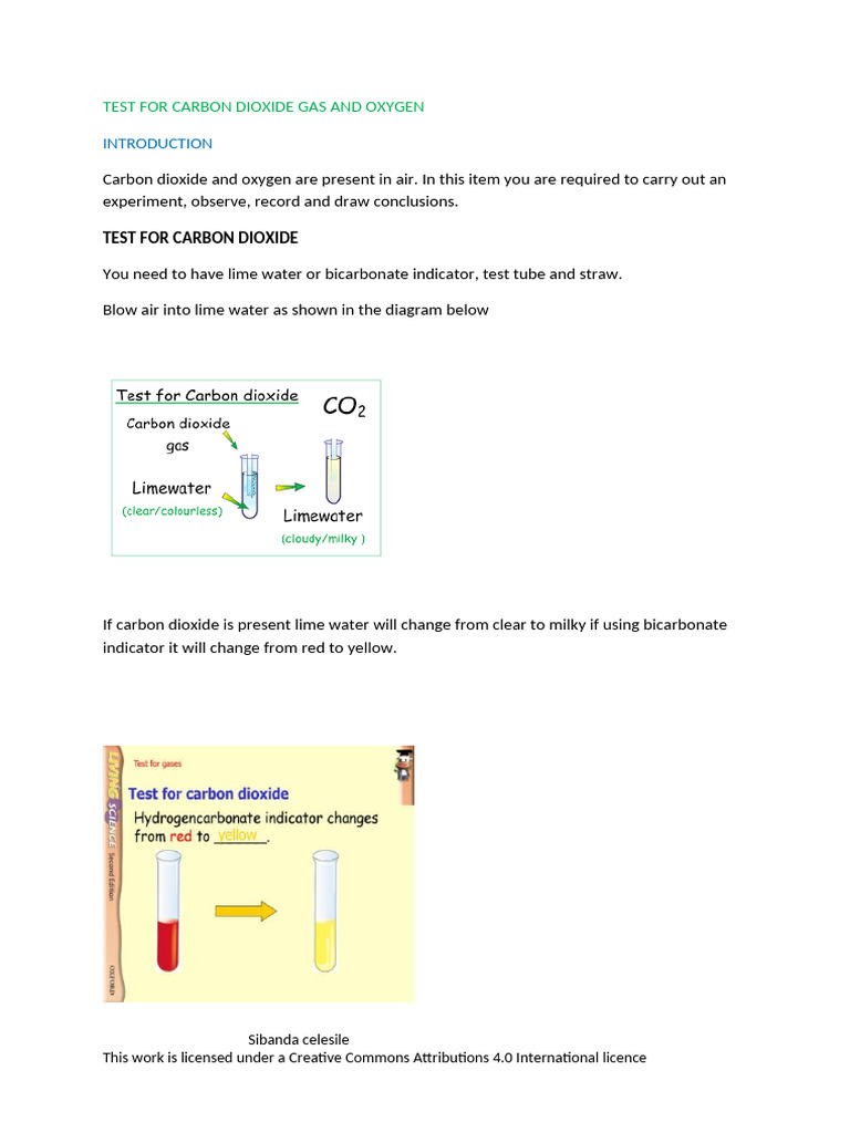 Biology - F 1 Respiratory System - Test For Carbon Dioxide Gas and ...