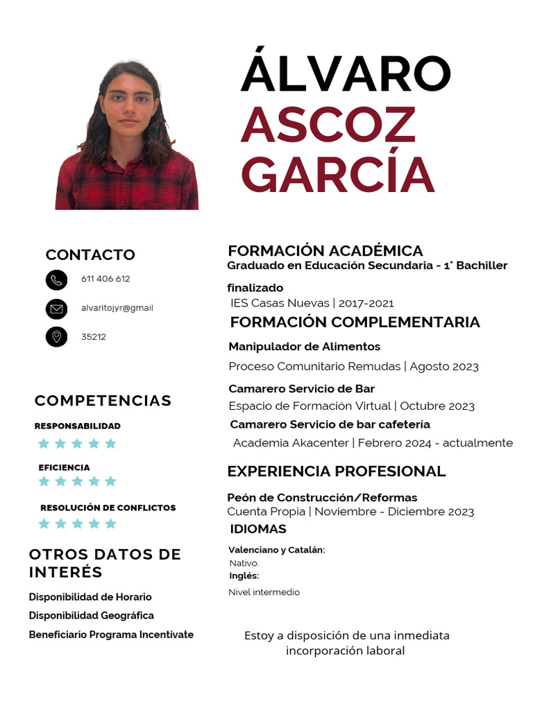 Currículum Profesional Alvaro (7) - 032306 | PDF