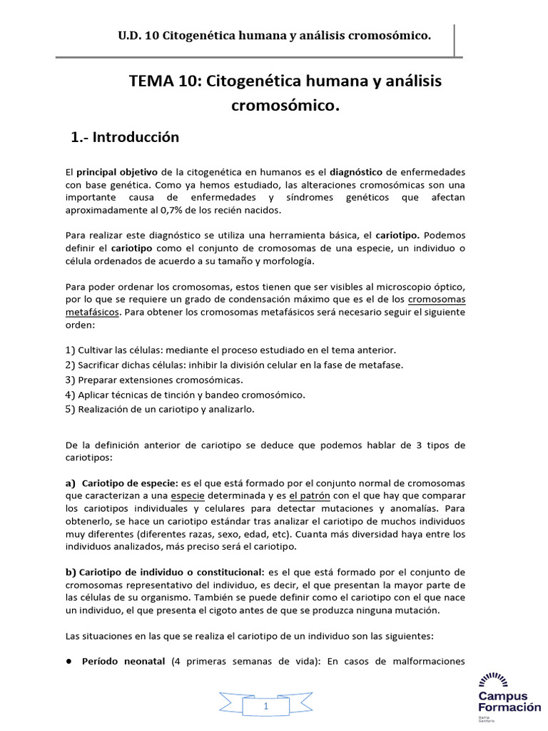 Análisis Cromosómico en Citogenética | PDF | Cariotipo | Citogenética