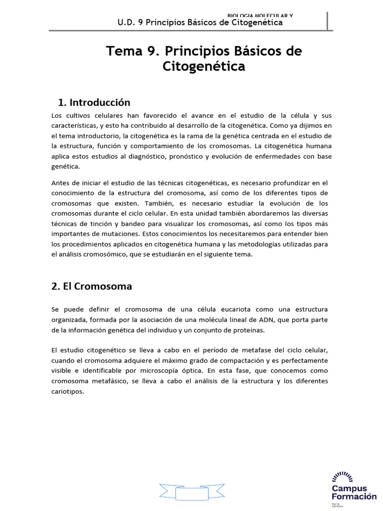 Tema 9 Principios Basicos de Citogenetica 1 | PDF | Cromosoma | Mitosis