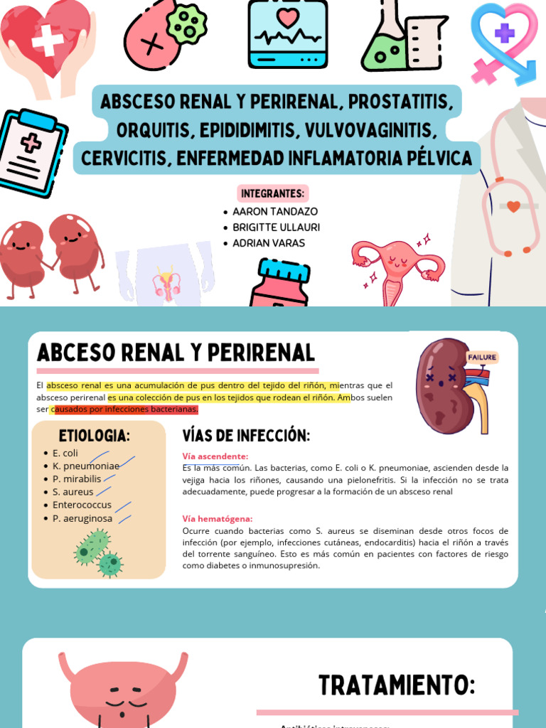 Absceso Renal y Perirenal, Prostatitis, Orquitis, Epididimitis ...