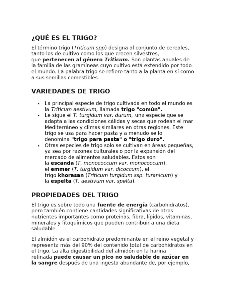 El Trigo | PDF | Trigo | Gluten