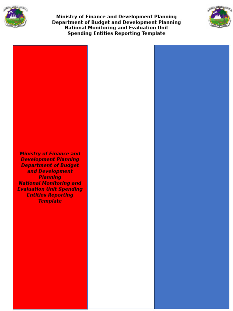 Project Execution Report Template | PDF | Budget | Monitoring And ...