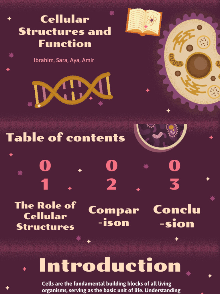 DI Project - Cell Structures and Function | PDF | Cell (Biology ...