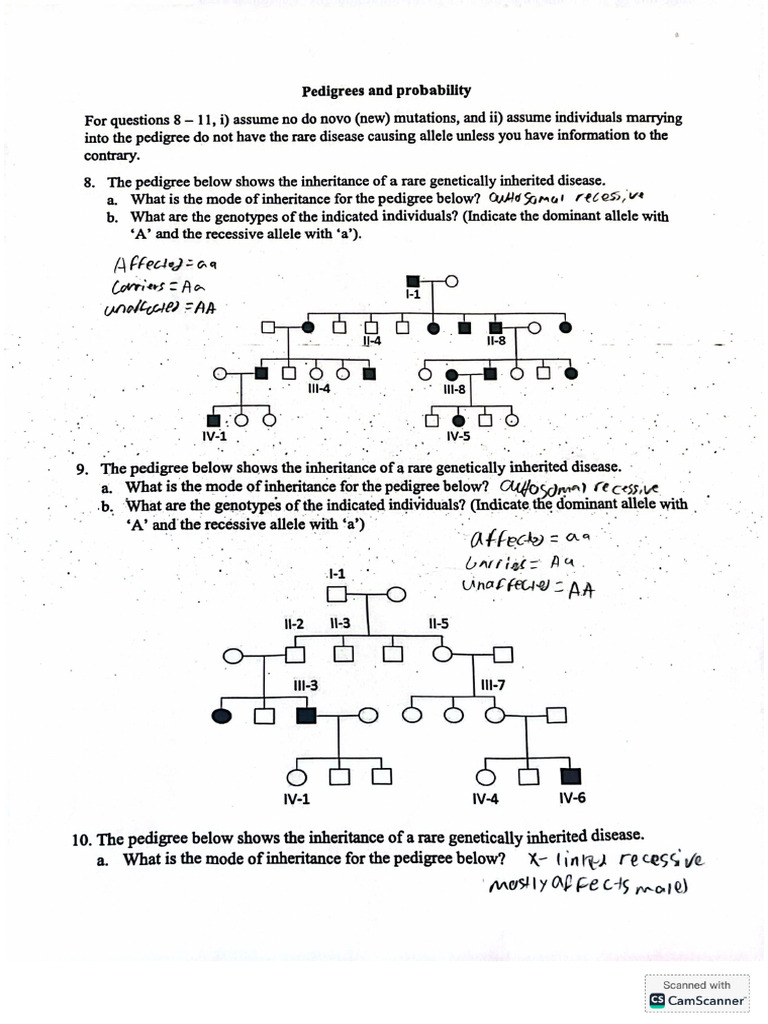 Pedigrees and Probability Page 1 | PDF