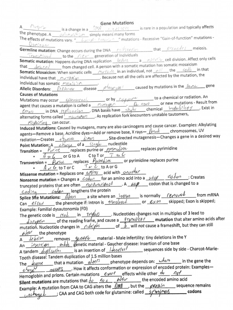 Gene Mutations Pdf