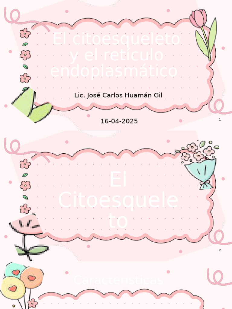 El Citoesqueleto Y El Retículo Endoplasmático Pdf Retículo