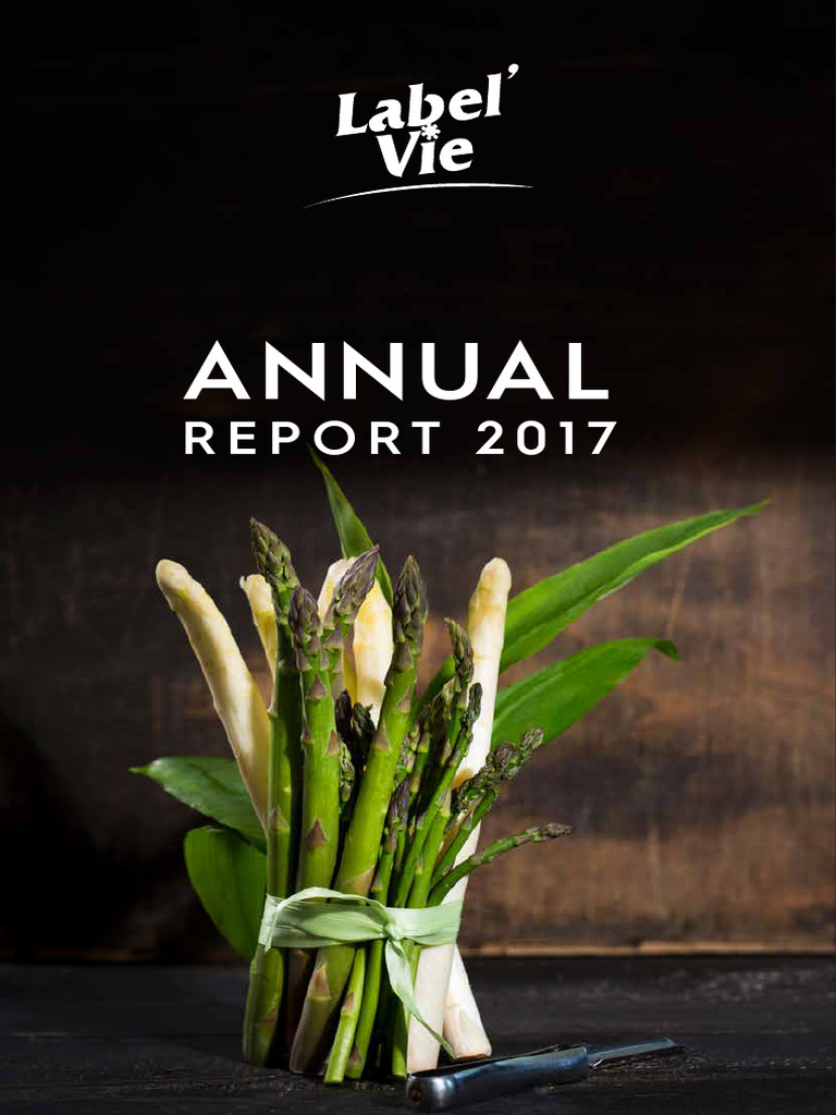 Carrefour Annual Report 2017 Insights | PDF | Income | Balance Sheet
