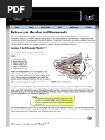 Mnemonic For Eye | PDF