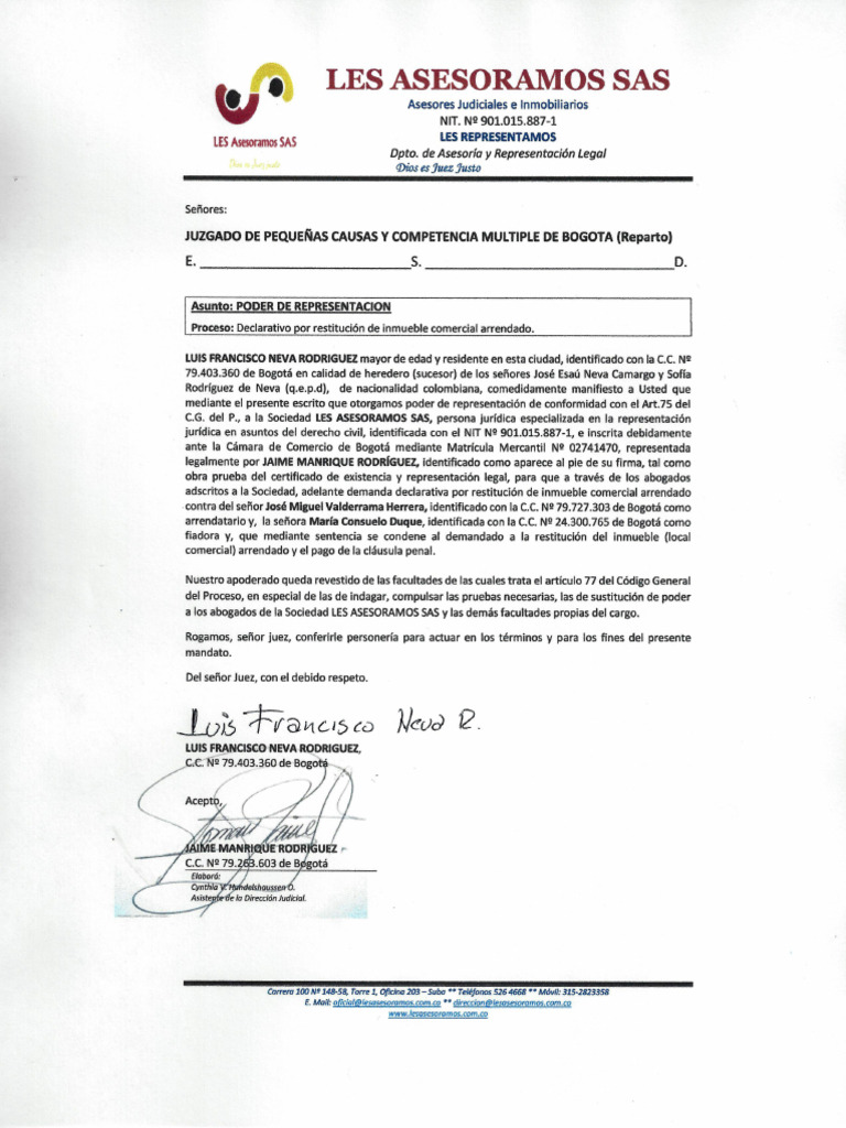 Poder Luis Francisco | PDF