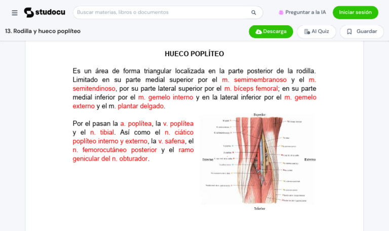 Rodilla y Hueco Poplíteo - Anatomía Humana y | PDF