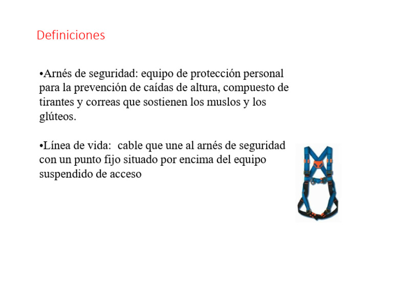 Linea de Vida | PDF