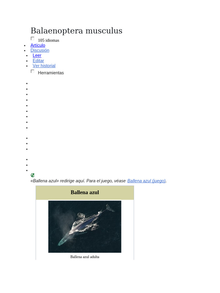 ballena azul | PDF | Cetáceos | Mamíferos marinos