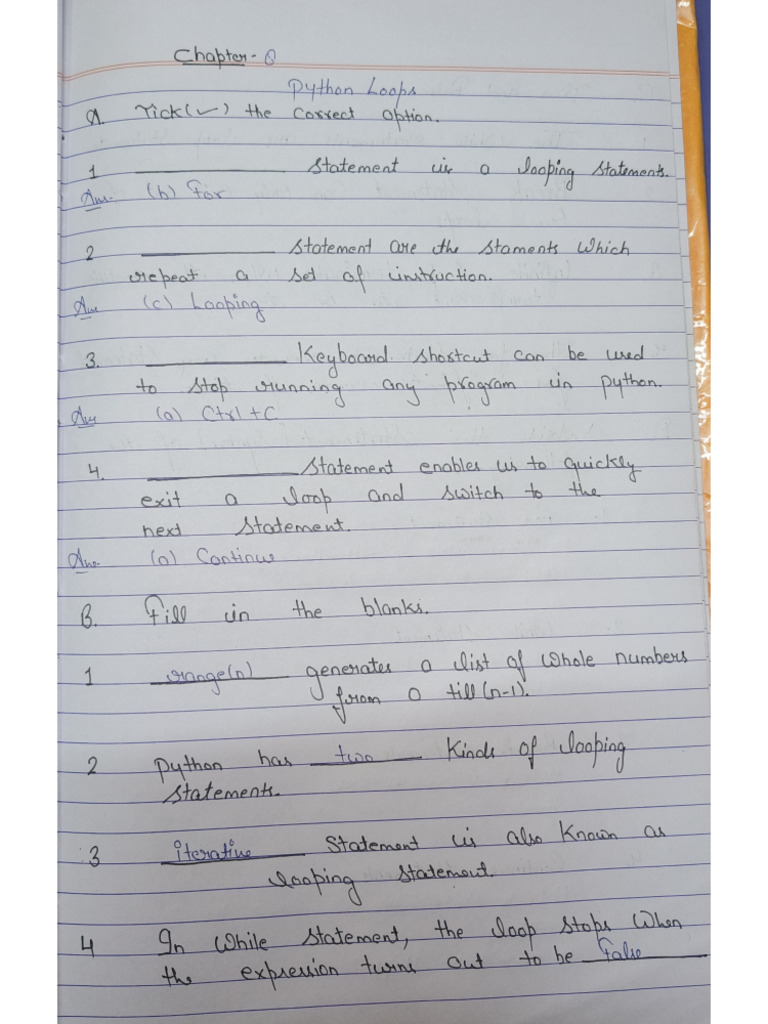 Class 8 Computer Chapter 8 and 9 | PDF