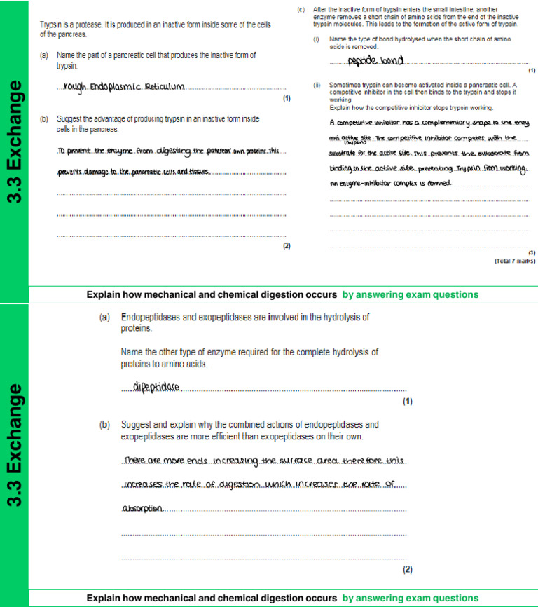 Aqa A Level Biology Exam Questions | PDF