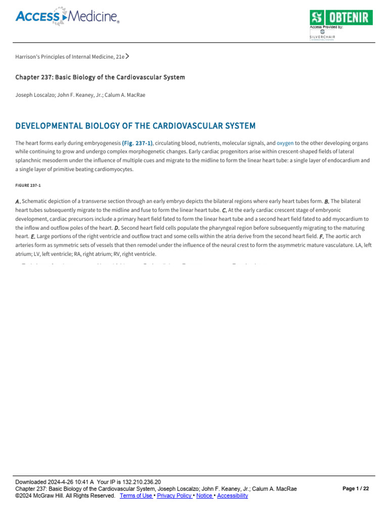 Chapter 237 - Basic Biology of The Cardiovascular System | PDF | Muscle ...