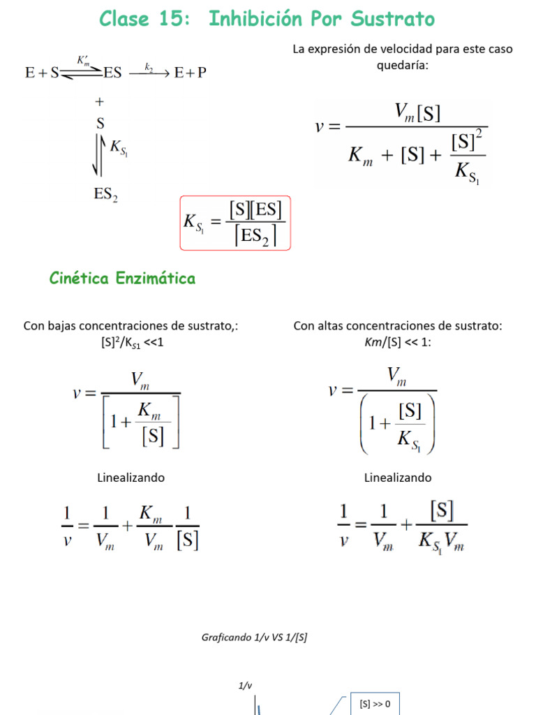 Clase 15. Inhibición Por Sustrato | PDF