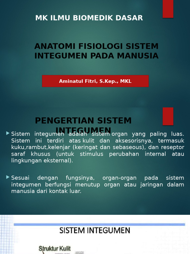 Anfis Sistem Integumen Pada Manusia - Fitri | PDF