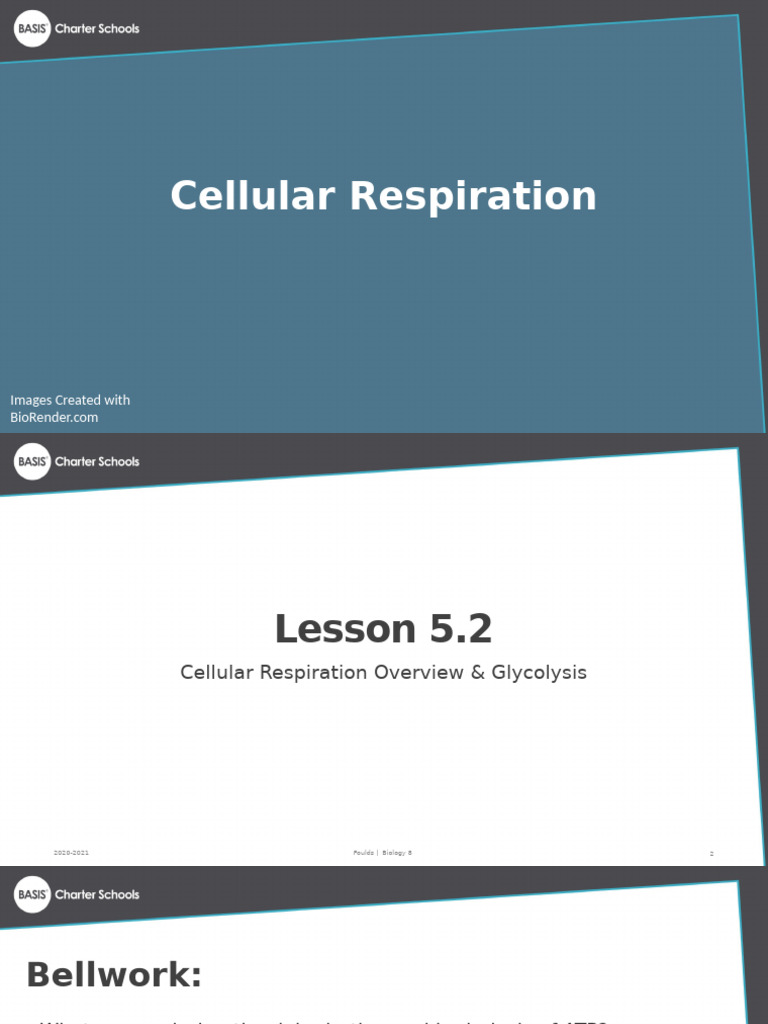 Lecture 5.2 Overview and Glycolysis | PDF | Cellular Respiration ...